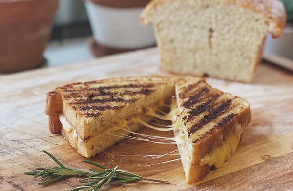 Winner Winner, Grilled Cheese Dinner – Toad&Co